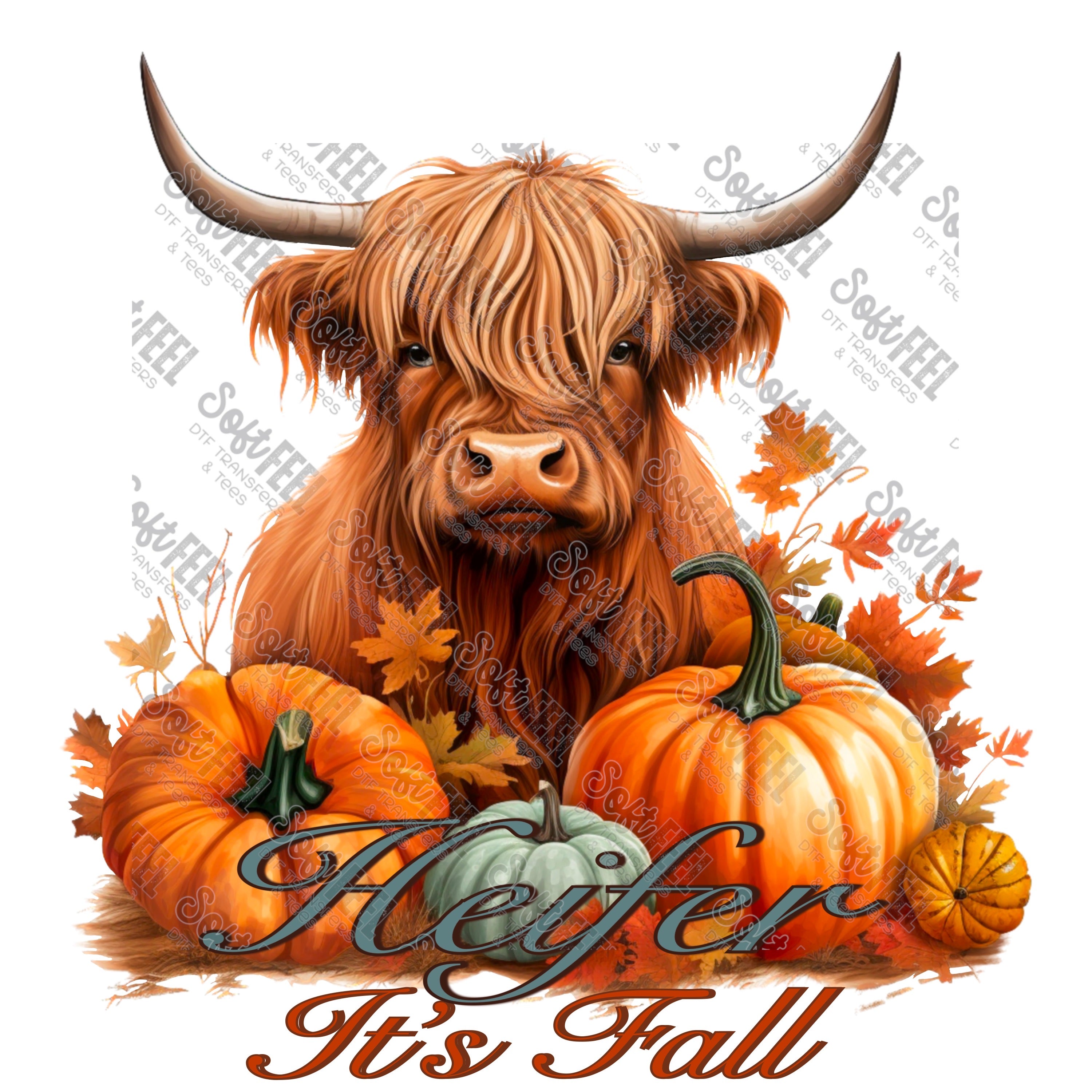 Heifer Its Fall - Fall / Country Western / Animals - Direct To Film Tr ...